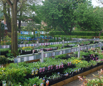 tuincentrum-noordbarge.nl | Tuincentrum Noordbarge in Emmen